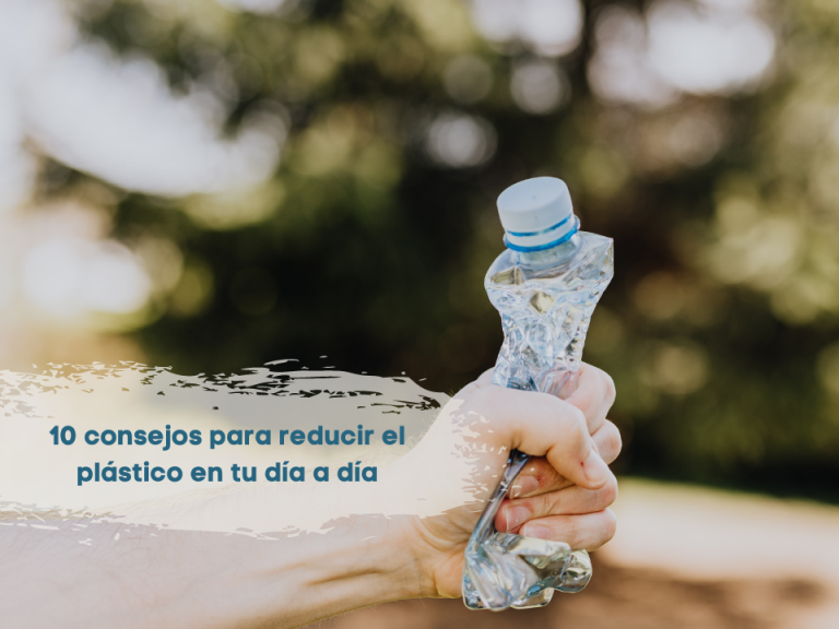 10 consejos para reducir el plástico en tu día a día - Xicra